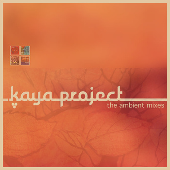 Kaya Project Archives - psybient.org - psychill music, psytrance ...